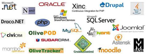 ecommerce website package delhi ecommerce web design packages india
