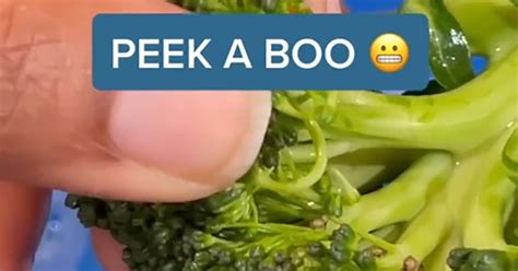 Tiktok Users Share Videos Of Bugs In Their Broccoli