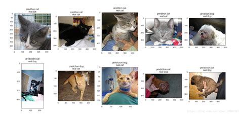 Kaggle猫狗大战之alexnet一猫狗大战——alexnet模型 Csdn博客