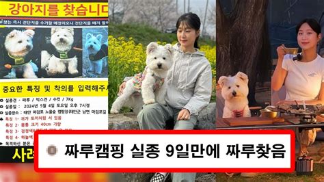 캠핑 유튜버 짜루 실종 9일만에 찾음비판받는 이유 L 짜루캠핑 채널 비공개 오프리쉬 콜링 반려견 실종 분실 사례금 100만원