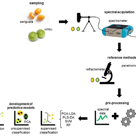 Experimental Steps To Build Prediction And Classification Models Pcr