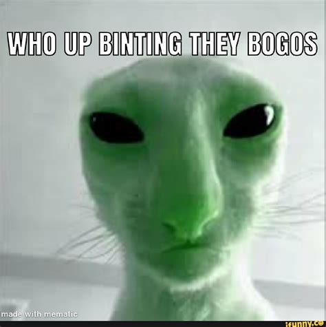 Who Up Binting They Bogos Ifunny Brazil