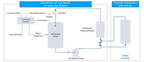 Enzymatic Esterification