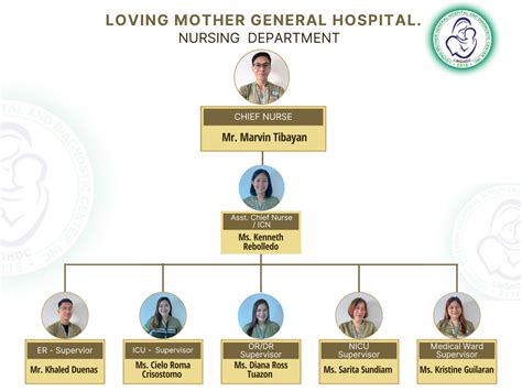 Nursing Services Loving Mother General Hospital And Diagnostic Center