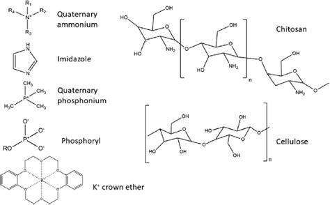 Functional Groups And Chitosan Cs And Cellulose Backbones Download
