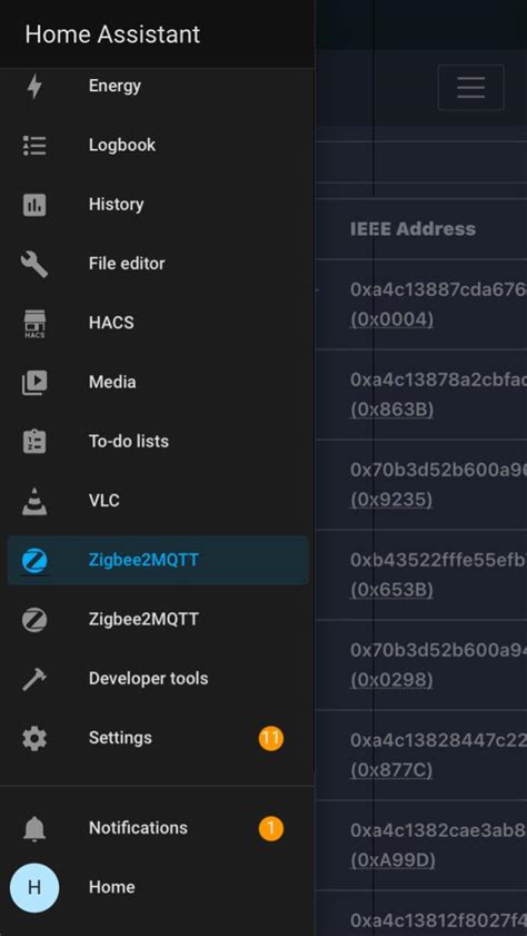 Home Assistant I Got The 2nd Z2m Instance Running On Second