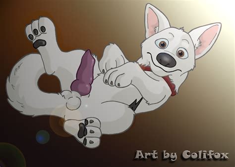 Rule 34 Bolt Character Bolt Film Colifox Disney Male Only Penis