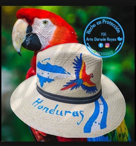 Sombreros Y Más De Darwin Reyes