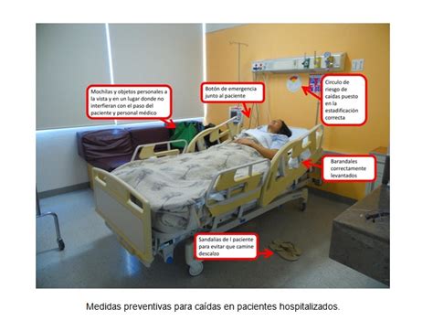 DivulgaciÓn CientÍfica Ug