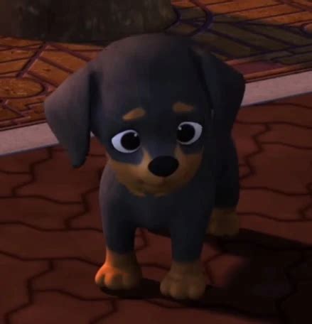 Blackie Fictional Characters Wiki Fandom