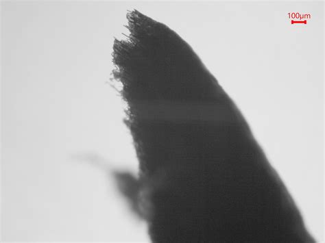 Microscope Slide For Filament Inspection And Pc Blend Cf Inspection Images By Acuteioa Download