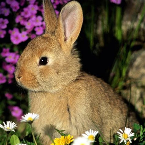 Great Tinner Youtube