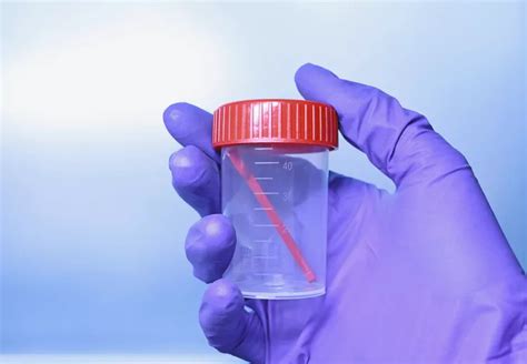 Pancreatic Elastase A Critical Factor For Understanding Digestive Health