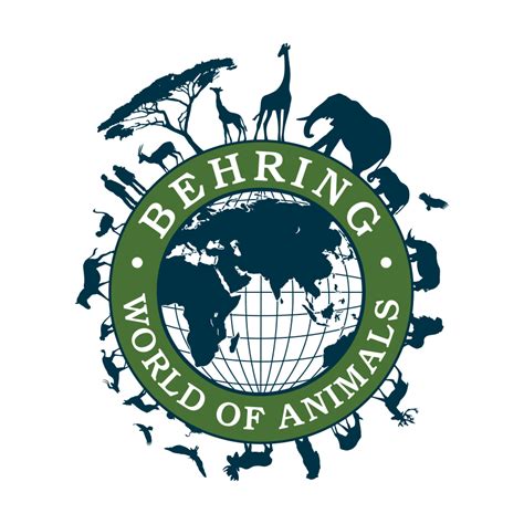 上海天文馆x贝林自然世界联名太空系列香芬挂件 贝林自然世界behringworld