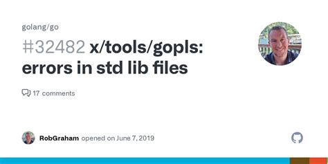Xtoolsgopls Errors In Std Lib Files · Issue 32482 · Golanggo · Github