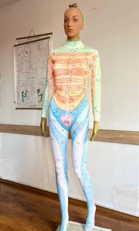 Curs De Masaj Metameric Centrul Biofocus