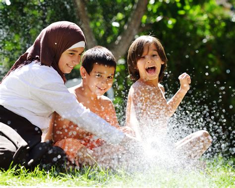 Developmental Perspective Emerging Minds