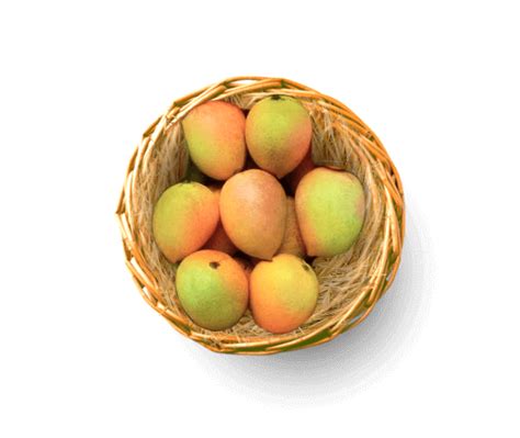 Payri Mango A1mangos