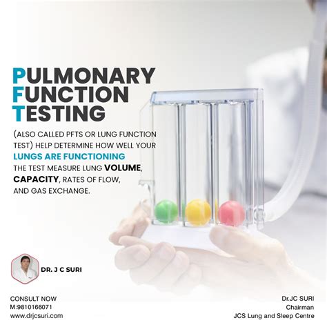 Dr 🌬️ Understanding Your Lungs Explore The Importance Of Pulmonary