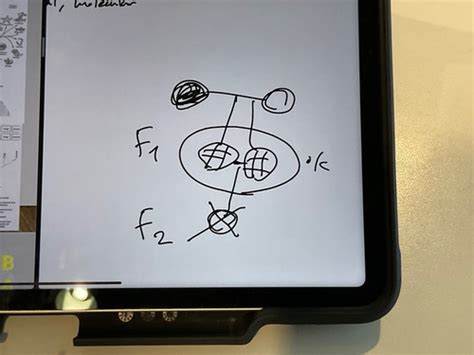 Chapter 14 Speciation Flashcards Quizlet