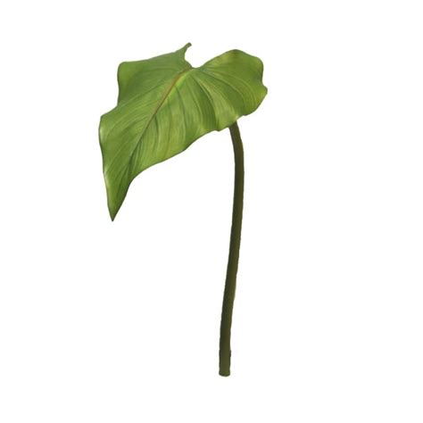 Feuille Artificielle De Calla Shuyan Vert 60cm