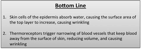 The Science Parking Lot The Case Of The Pruney Fingerstoes In Water