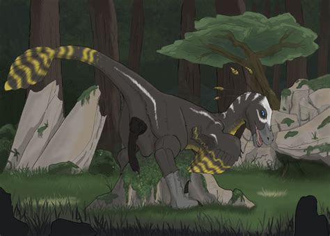 Rule 34 Animal Genitalia Avian Black Body Black Feathers Bodily