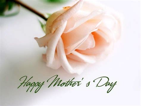 Mom Wallpapers Hd 1080p Wallpaper Cave