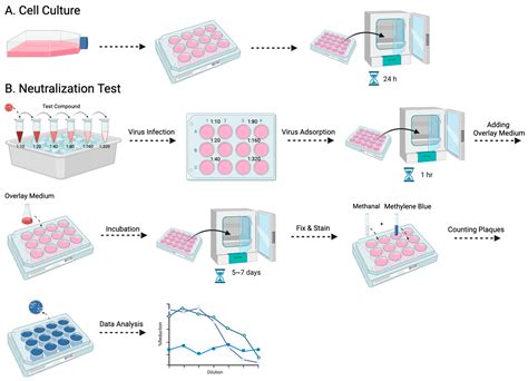 Neutralization Test Introduction And Types