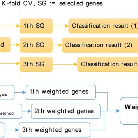 In Our Soft Ensembling Method Between Selected Genes The Following Download Scientific Diagram