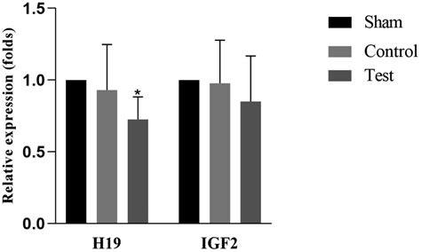 The Comparison Of Imprinting Genes Expressions In The All Experimental Download Scientific