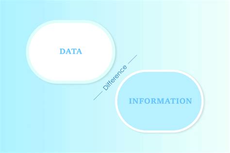 What Is The Difference Between Data And Information Examples TechCult