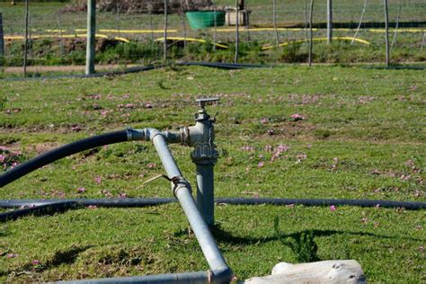 Impianto Di Irrigazione Dell Azienda Agricola Immagine Stock Immagine Di Rurale Tubi