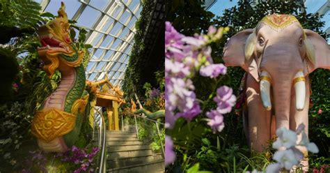 Fines And Demerit Points For Speeding In Spore To Increase From Jan 1 2026 Mothership Sg