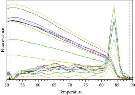 The Determined Melting Curve In Rt Pcr Analysis Using Sybr Green
