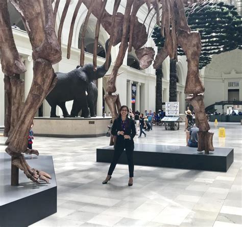 Hajar Habbal On Linkedin As My Summer Internship At The Field Museum