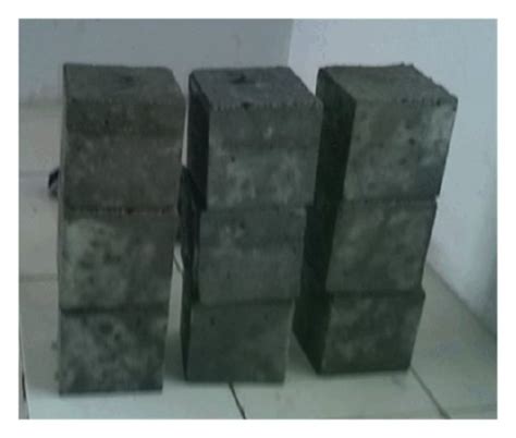 Standard Compression Specimens Download Scientific Diagram