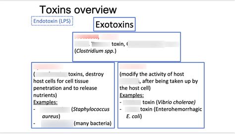 Lecture 35 Enteric Pathogens Diagram Quizlet