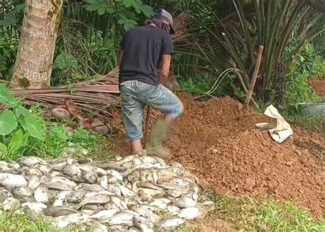 Ada Yang Pernah Cepirit Ternyata Ini Penyebabnya