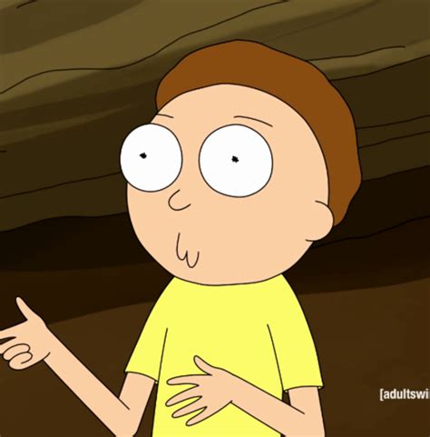 Will See This Face A Lot On Rick And Morty Rick And Morty Know Your