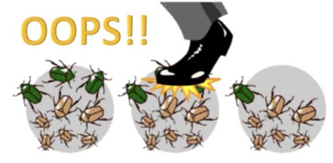 Bio Ii Final Exam Flashcards Quizlet