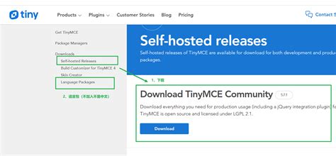 Tinymce 富文本编辑器的使用 图片粘贴上传 Vue Zhuangjie 博客园