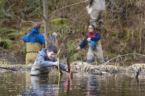 Deer Lake Ecosystem Remediation Project Civic Innovation Lab