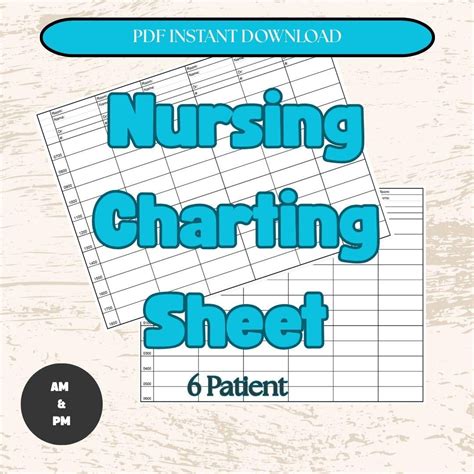 Nursing Charting Sheet Horizontal Etsy
