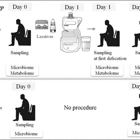 Principal Coordinate Analysis Pcoa Plot In Microbiome And Metabolome