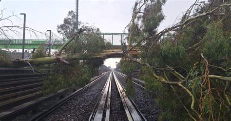 Caída De Dos árboles Deja Sin Servicio La Línea B Del Metro Cdmx Y Desata Caos En La Zona Infobae