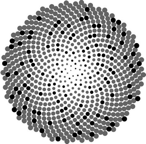 Geometry Patterns Grids Polygons Math Artofit