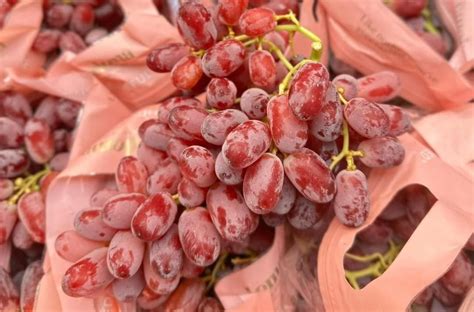 Nho Ruby Không Hạt Lợi Ích Giá Trị Dinh Dưỡng Và Cách Chọn Mua Tốt Nhất