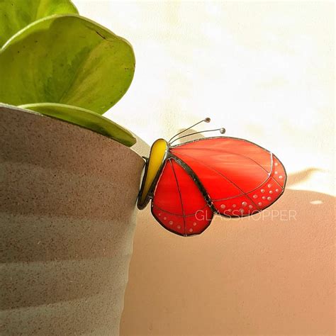 Glasshopper Glasshopper Added A New Photo — In