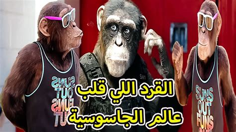 قرد في مهمة سرية بيكلفوة بأصعب مهمة احتمال يخسر فيها حياتة 😎🐒 فيلم قرد خارق في المخابرات Ciape